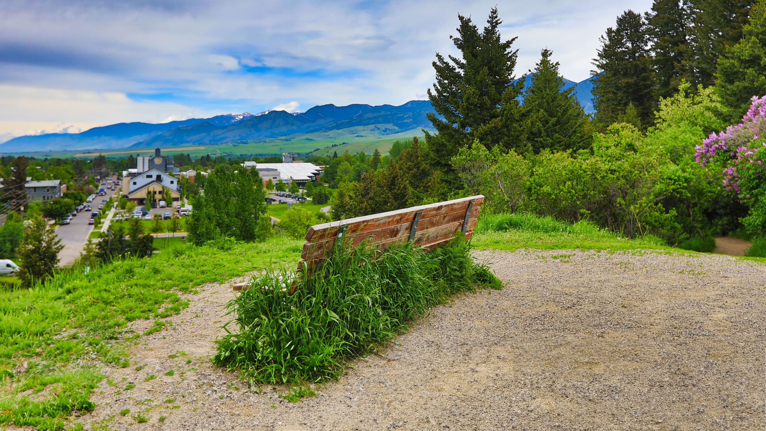 Conservation leaders have a role in building equitable communities ...